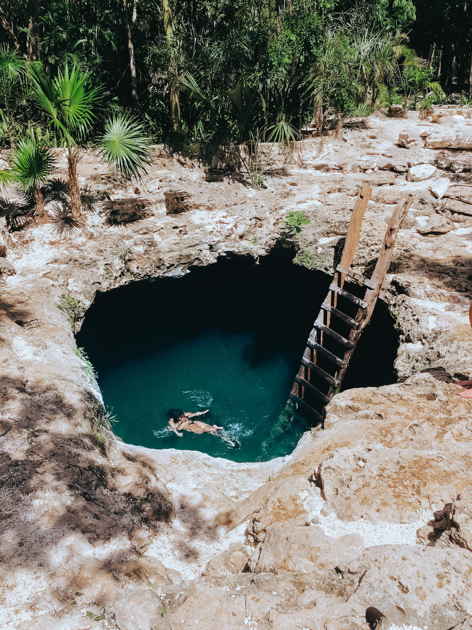 Top 10 Most Amazing Cancun Cenotes